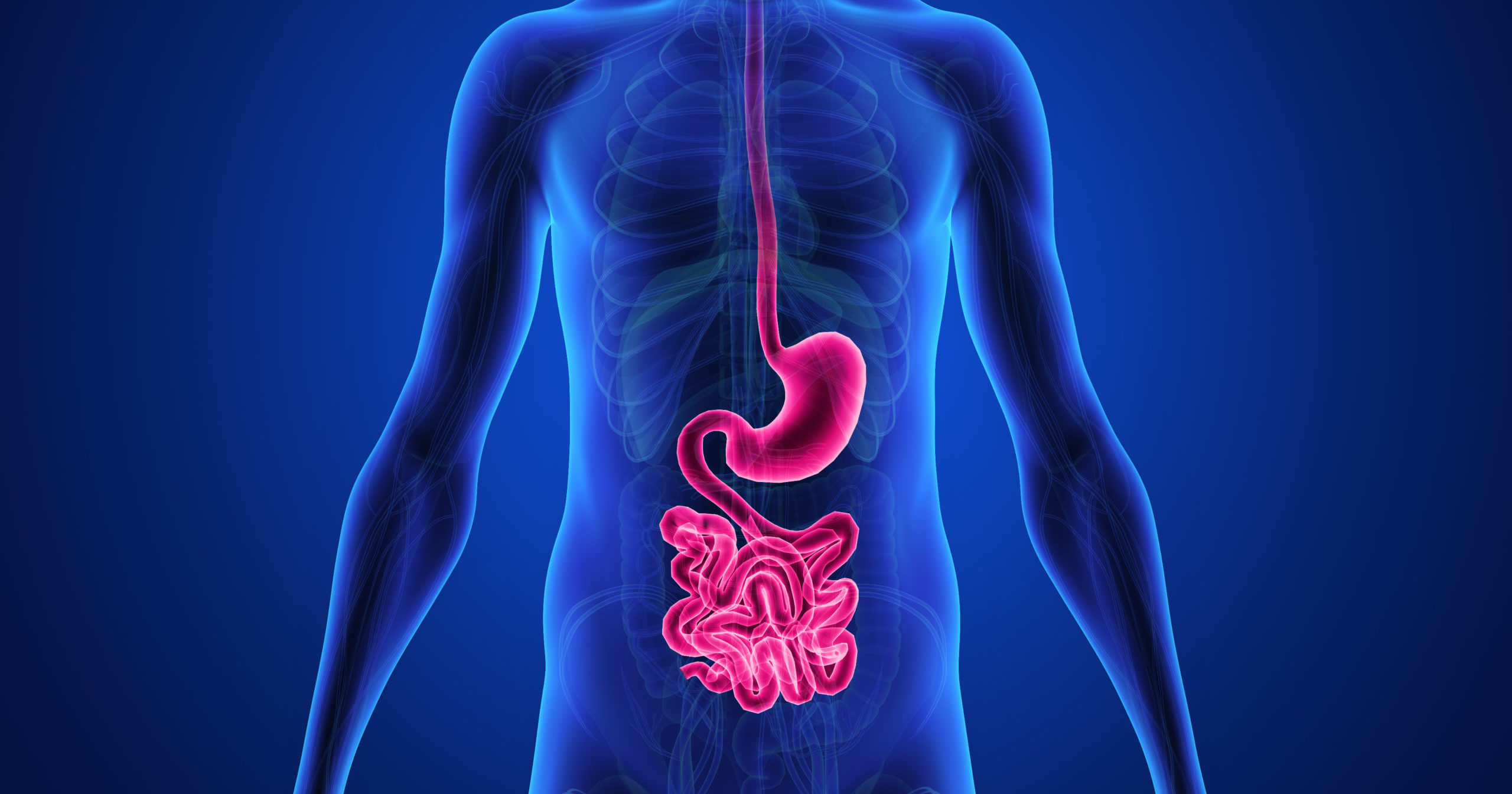 Gastrolog Wrocław, dobry gastrolog prywatnie, gastrolog Wrocław ...